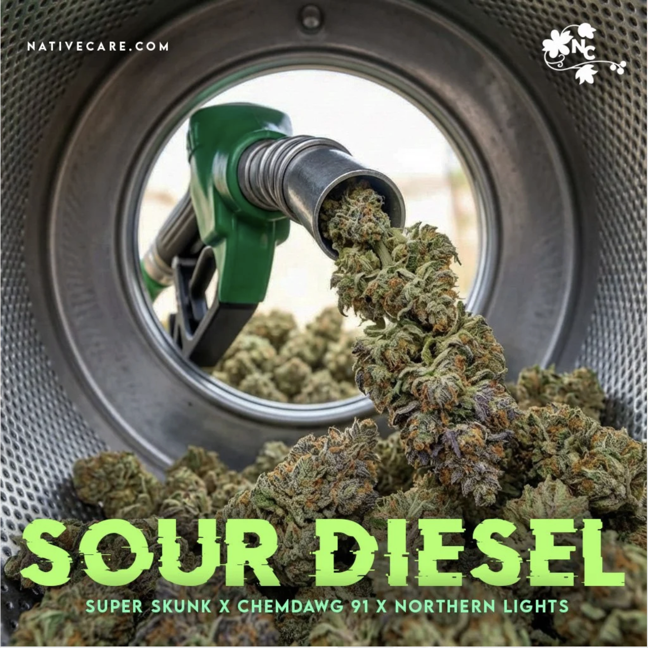 Terpene Tuesday: Sour Diesel - Native Care